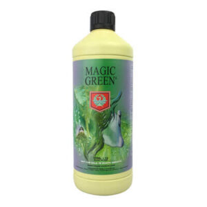 H&G MAGIC GREEN – Stealth Garden Thailand