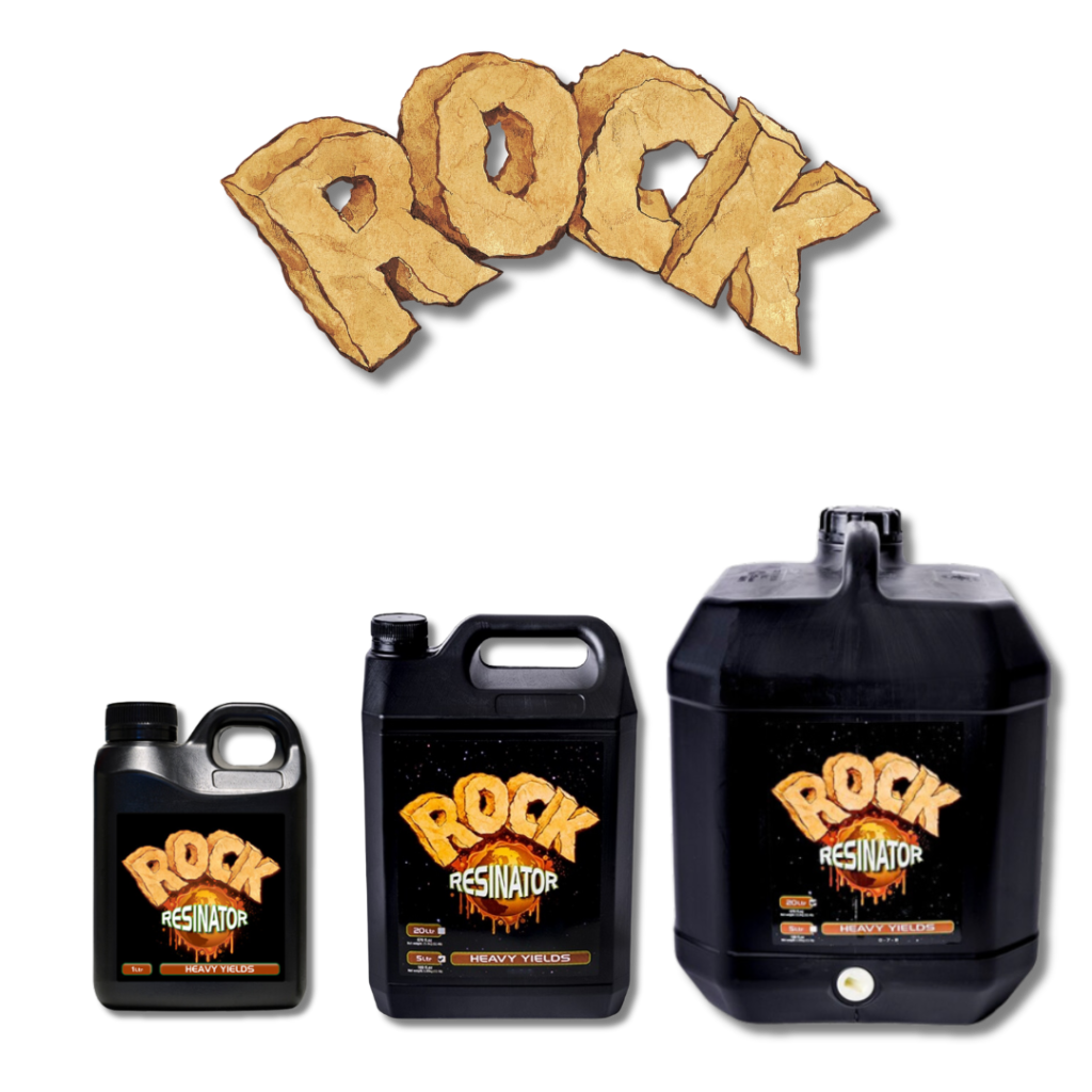 ROCK RESINATOR – Stealth Garden Thailand